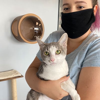 Cat Cafe Rescue is a Cat Rescue Center in Chino Hills, CA 91709